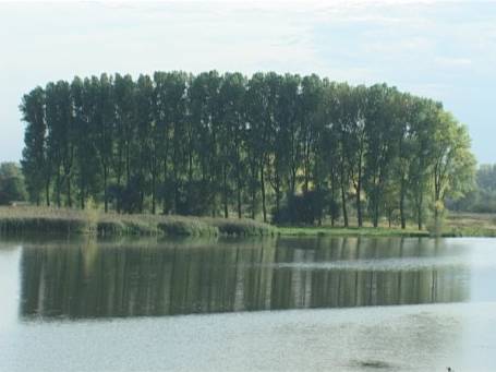 NiederRhein-Maas Info Unterer Niederrhein II