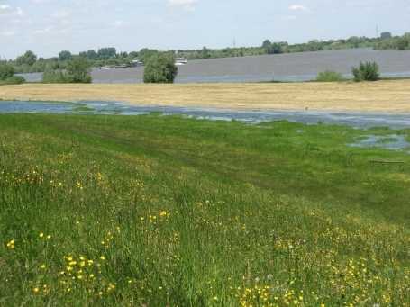 NiederRhein-Maas Info Unterer Niederrhein II